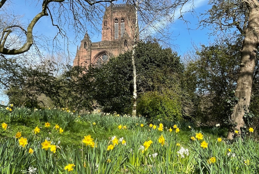 Churches Count on Nature: Discover What’s on Your Doorstep - Diocese of ...